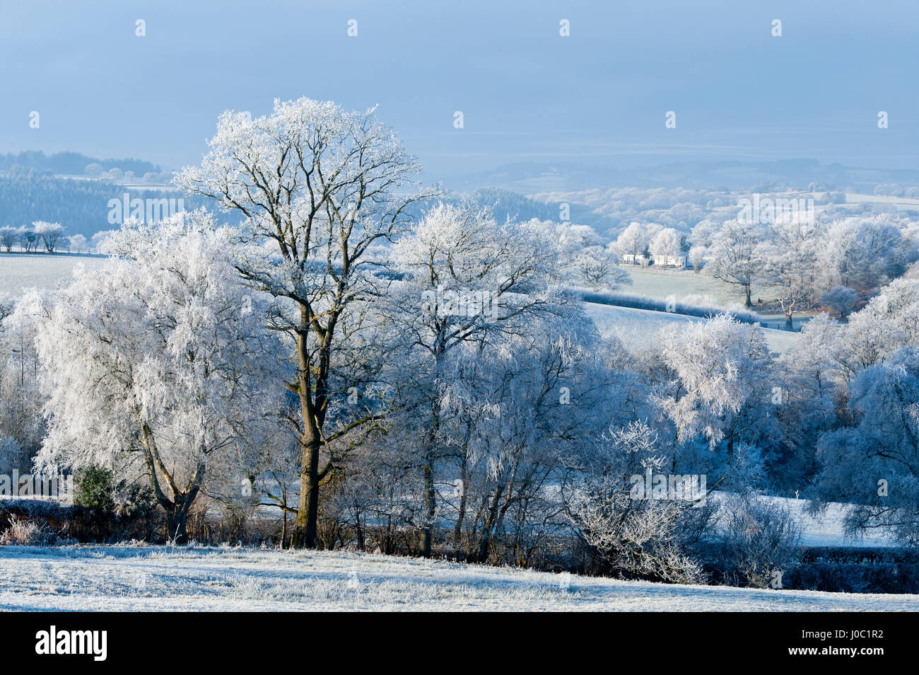 Frosty scenery landscape hi-res stock photography and images - Alamy