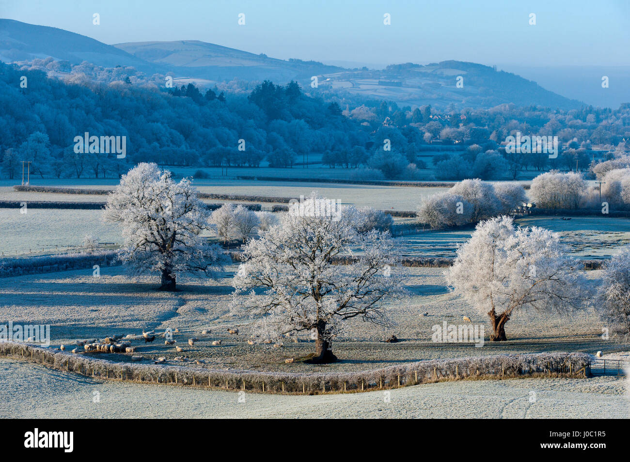 Frosty scenery landscape hi-res stock photography and images - Alamy