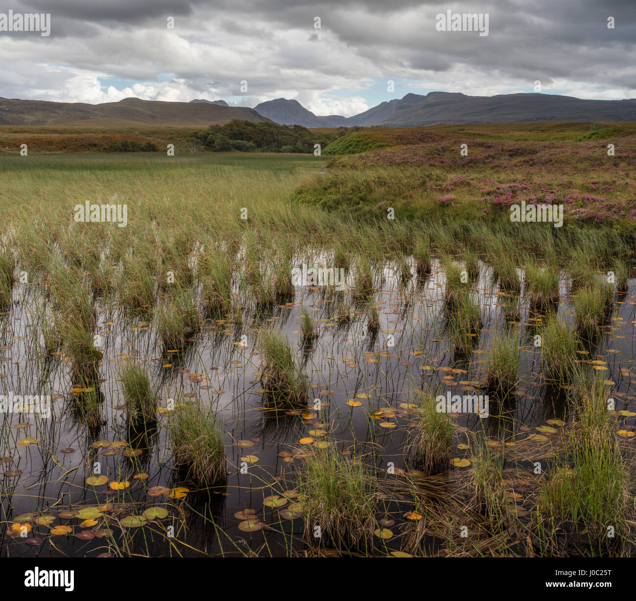 Garvie High Resolution Stock Photography and Images - Alamy