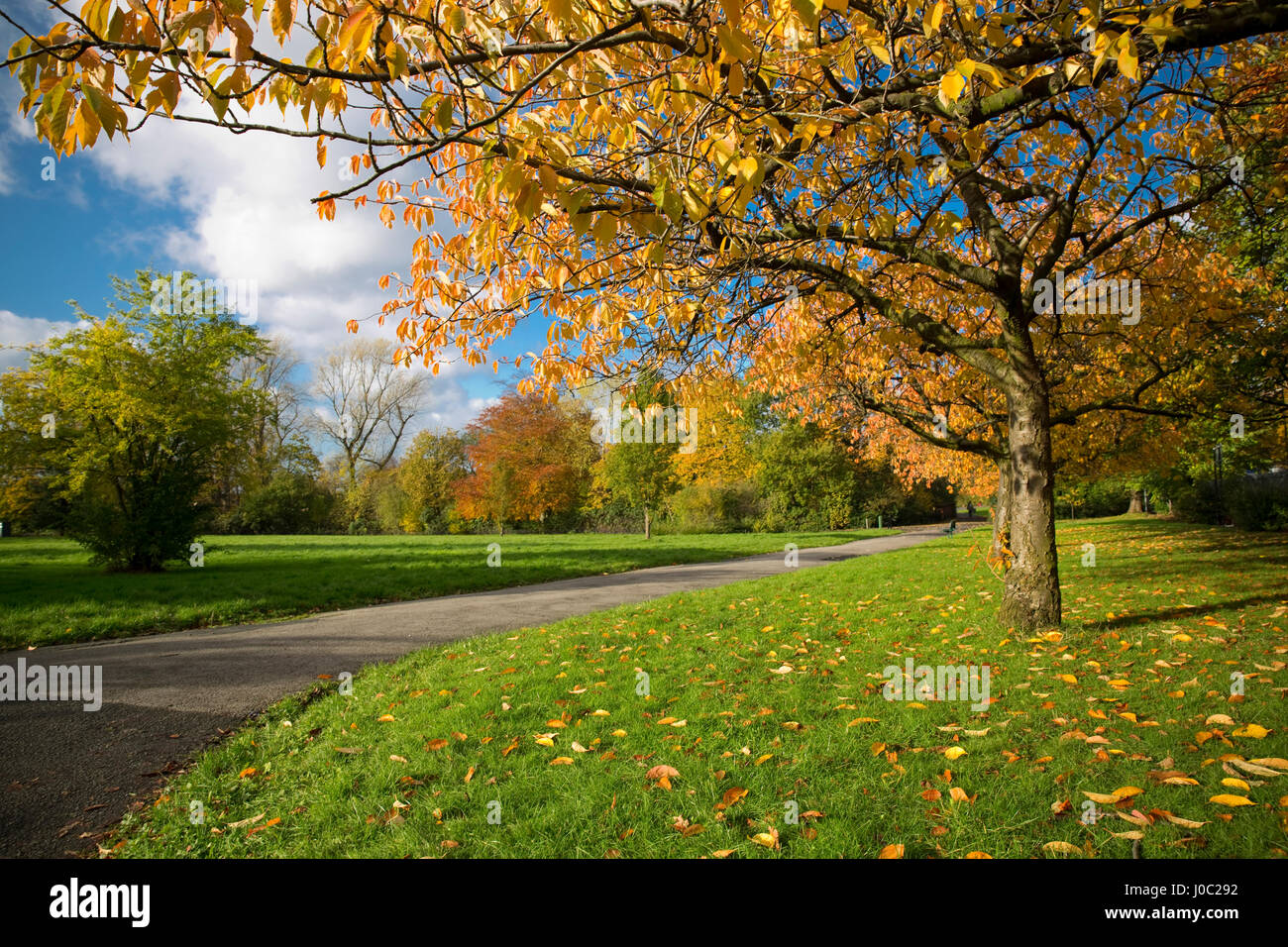 Platt Fields Park, Fallowfield, Manchester, Greater Manchester, UK ...