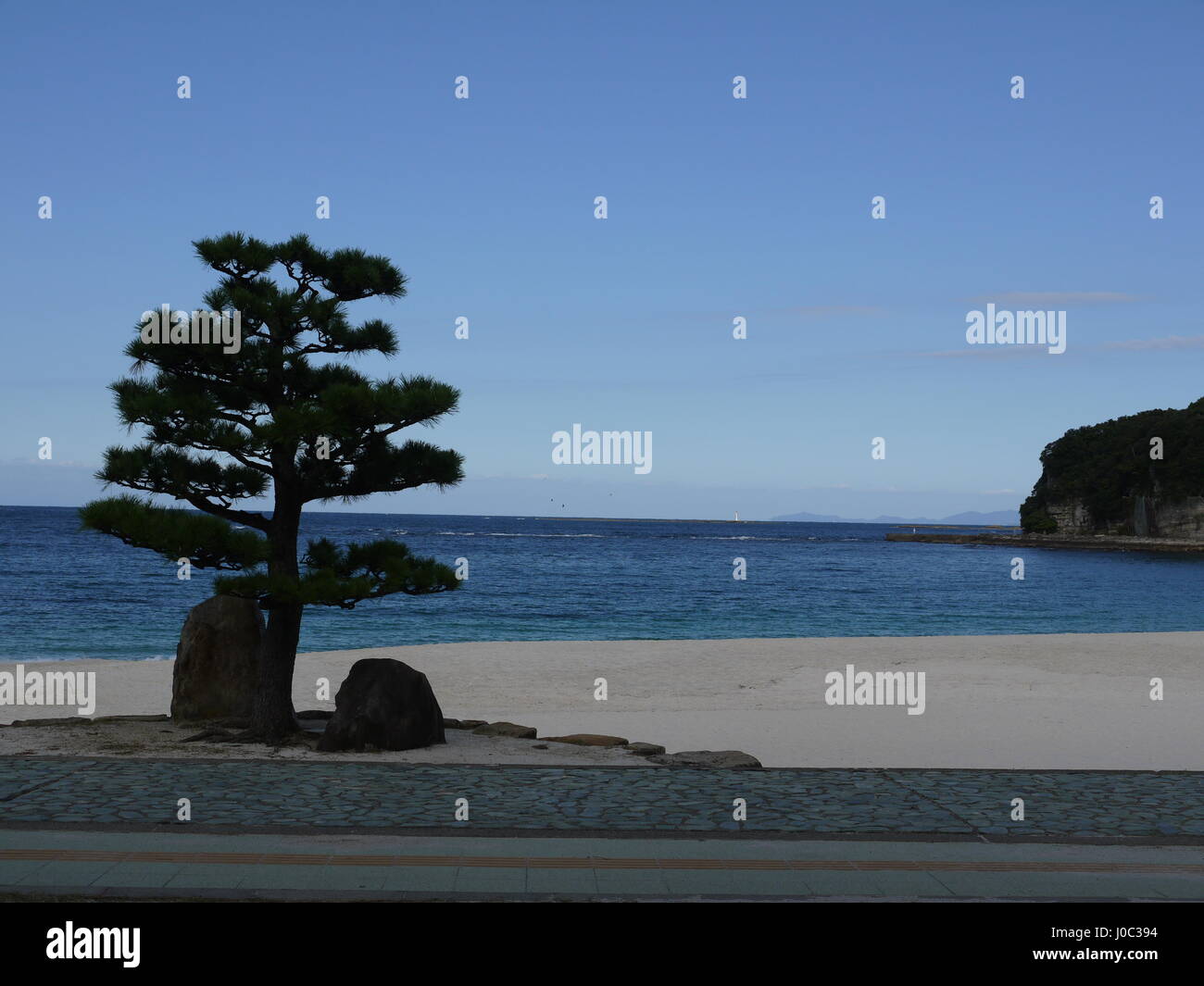 Shirahama Beach with Bonsai, Wakayama, Osaka Stock Photo - Alamy