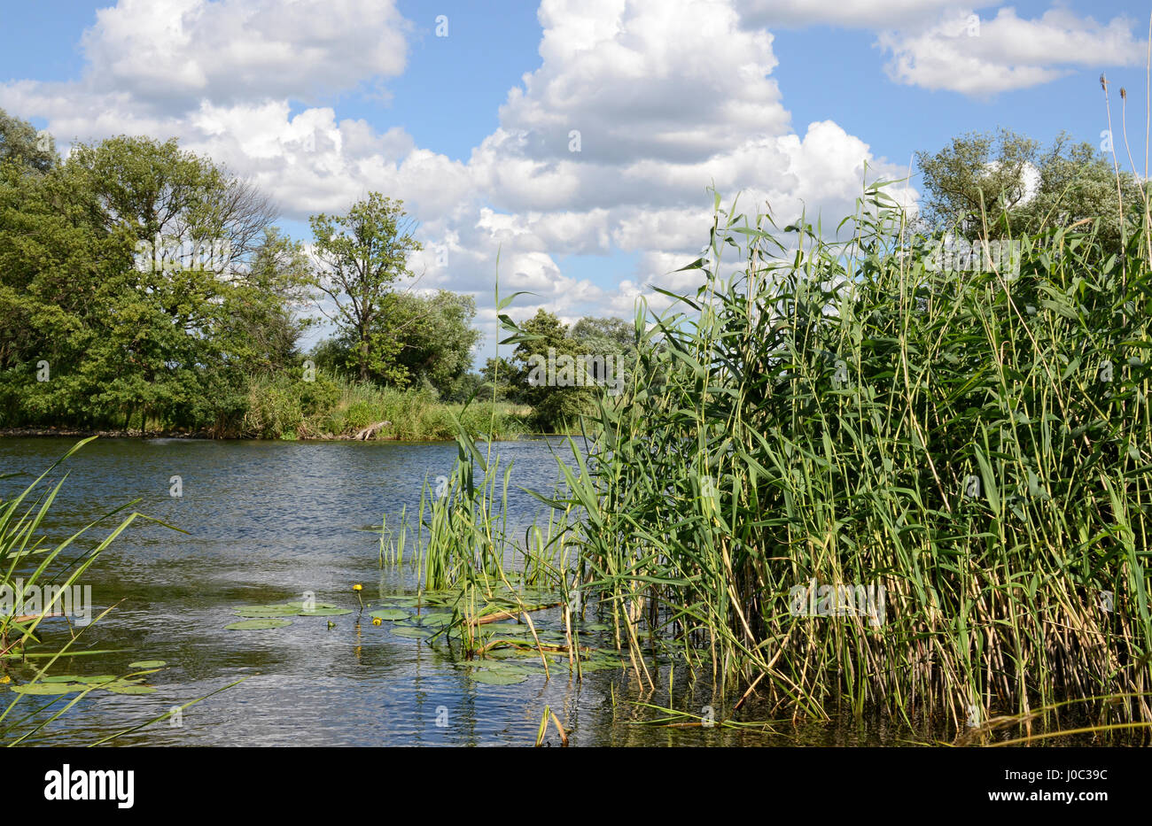 Havel river at summer time (Brandenburg, Germany). reflection on water ...