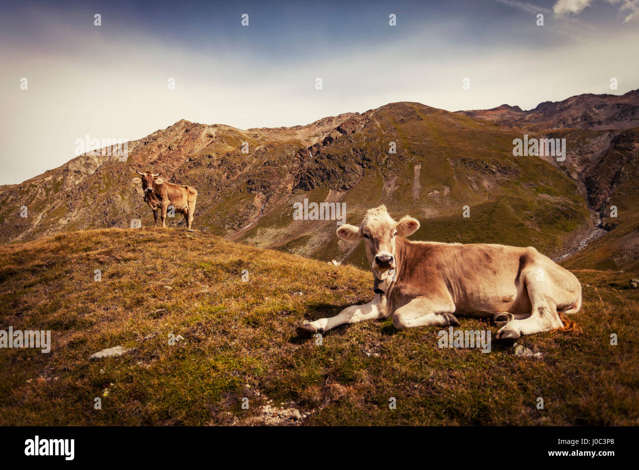 Top down view day in hi-res stock photography and images - Alamy