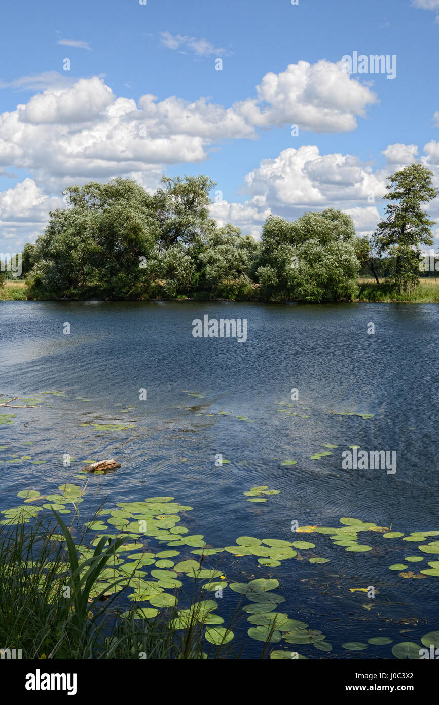 Havel river at summer time (Brandenburg, Germany). river landscape ...