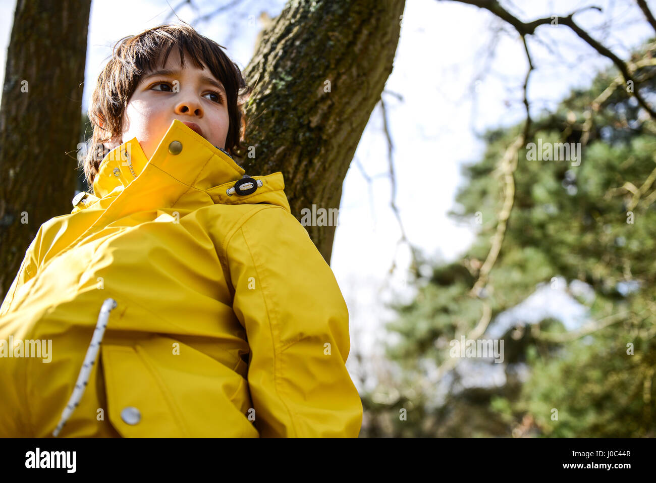 Yellow anorak coat hi-res stock photography and images - Alamy