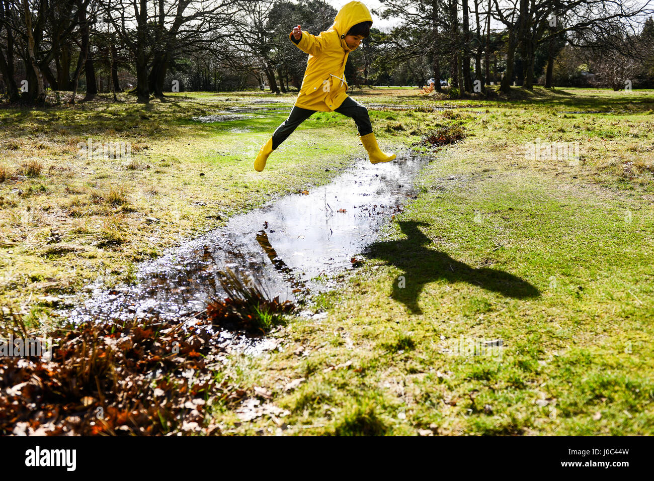 Boy in yellow anorak jumping over puddle in park Stock Photo - Alamy