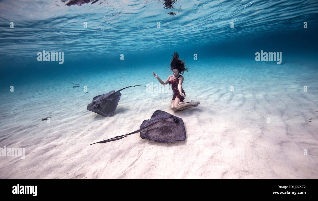 Female free diver kneeling near stingrays on seabed Stock Photo - Alamy