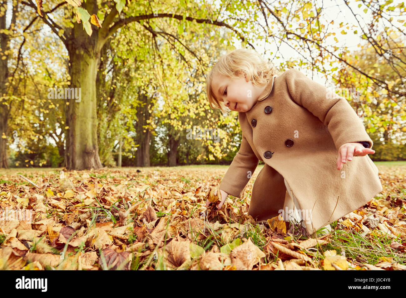 Picking up leaves hi-res stock photography and images - Alamy