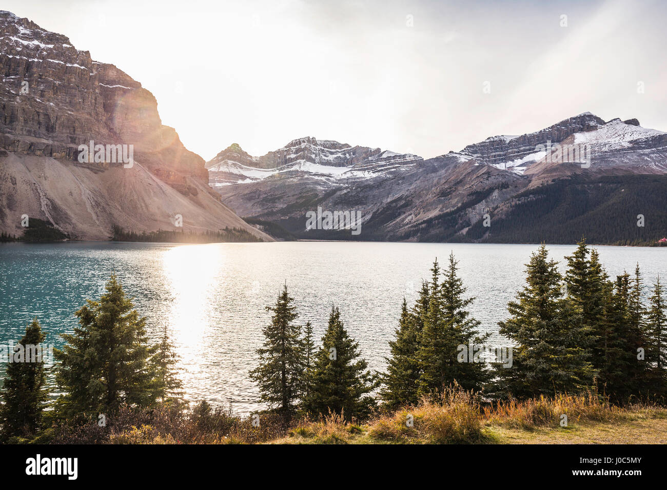Icefields Parkway, Highway 93, Lake Louise, Alberta, Canada Stock Photo ...