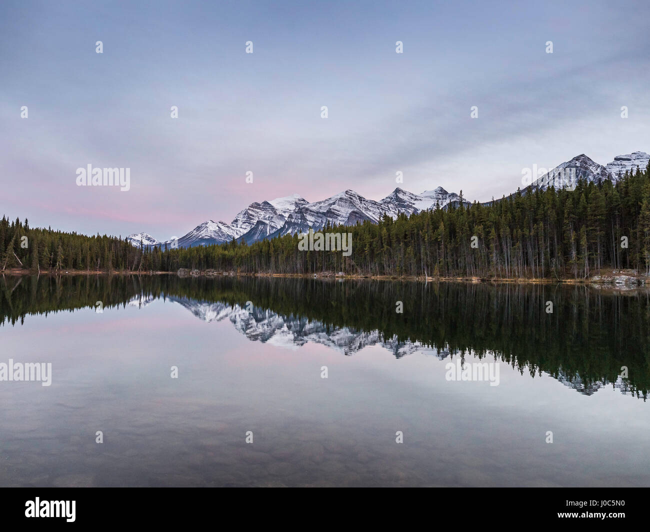 Icefields Parkway, Highway 93, Lake Louise, Alberta, Canada Stock Photo ...