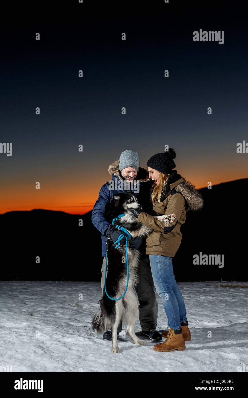 Night dog hi-res stock photography and images - Alamy