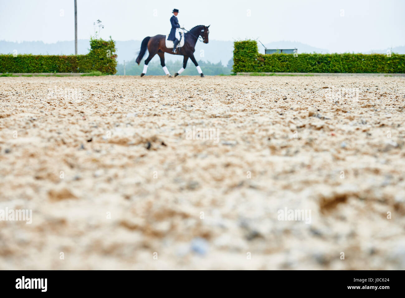 Dressage rider hi-res stock photography and images - Alamy