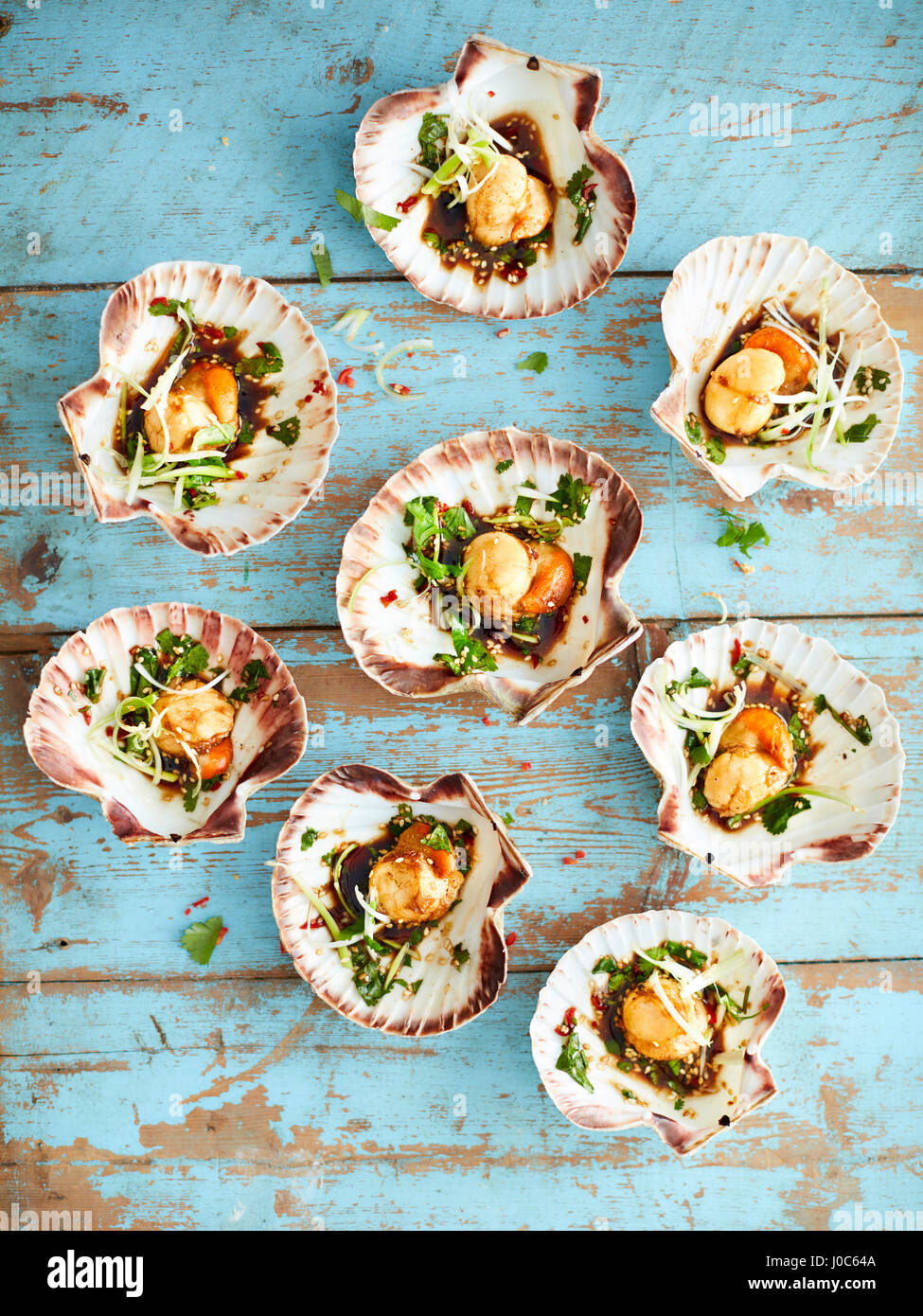 Scallops with shells starter Stock Photo - Alamy