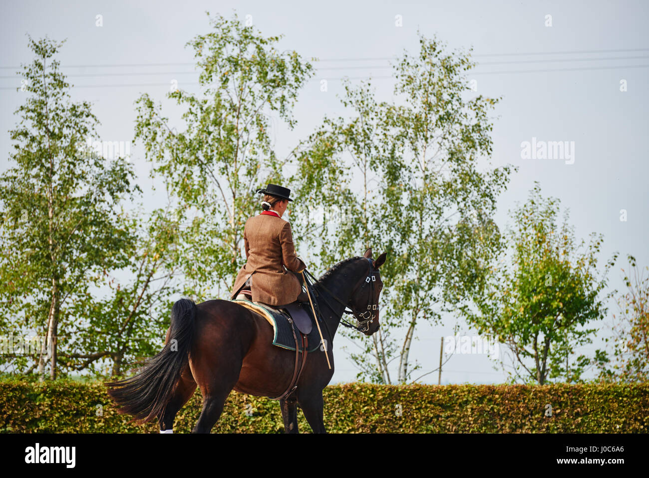 Female dressage rider hi-res stock photography and images - Alamy
