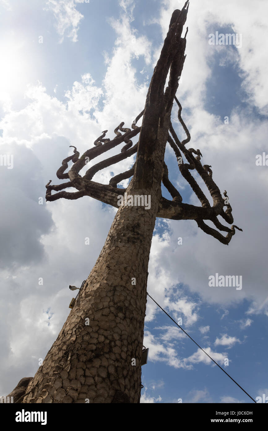 The Tree of Life is a timeless symbol of our connections to everything ...