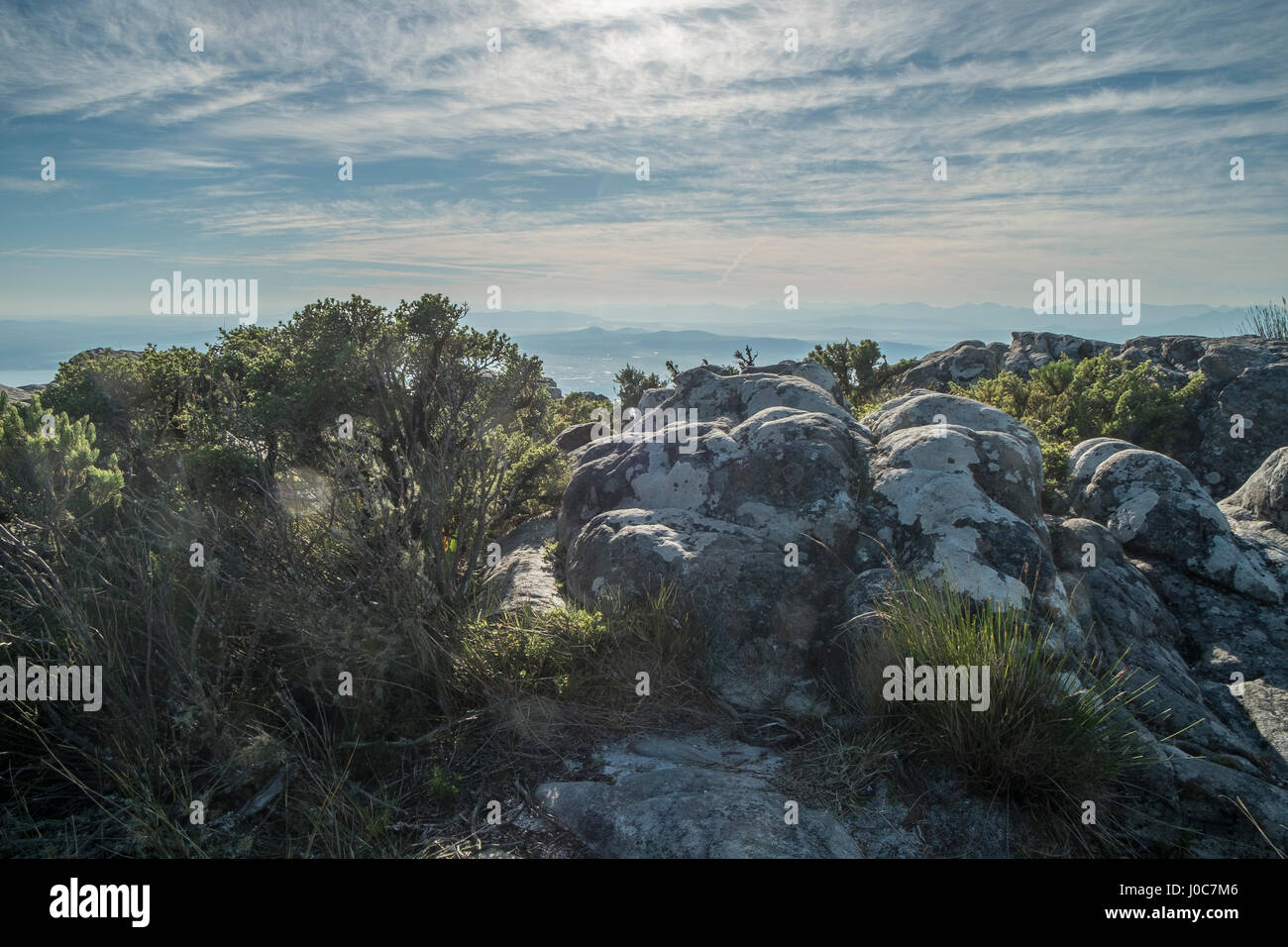 Mountain fynbos biome hi-res stock photography and images - Alamy