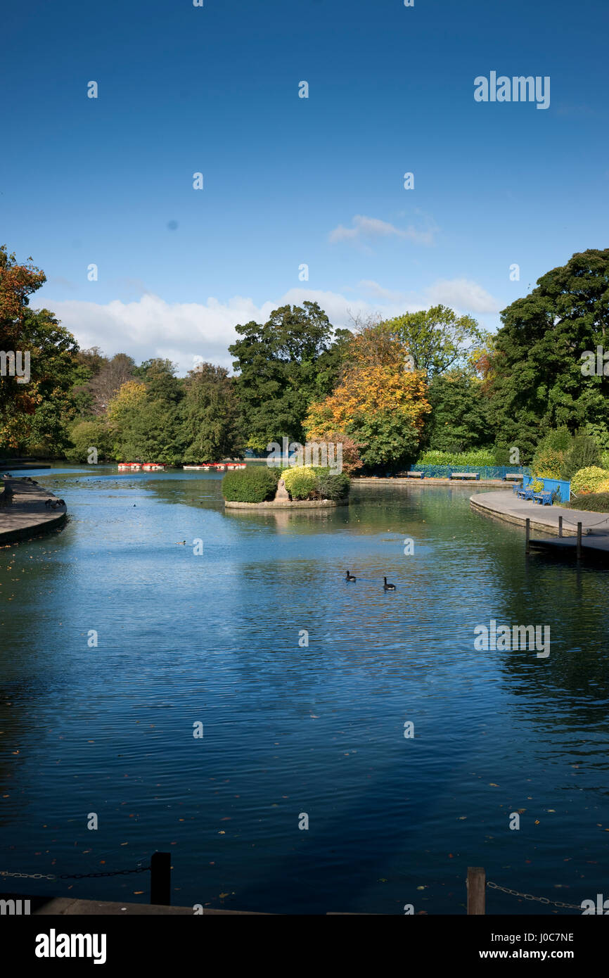 Cartwright Hall Art Gallery, Bradford, West Yorkshire Stock Photo - Alamy