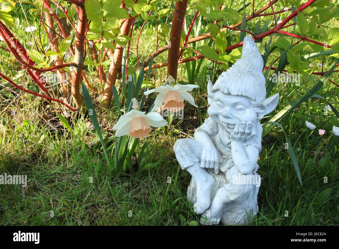 gnome is sitting under a garden bush Stock Photo - Alamy