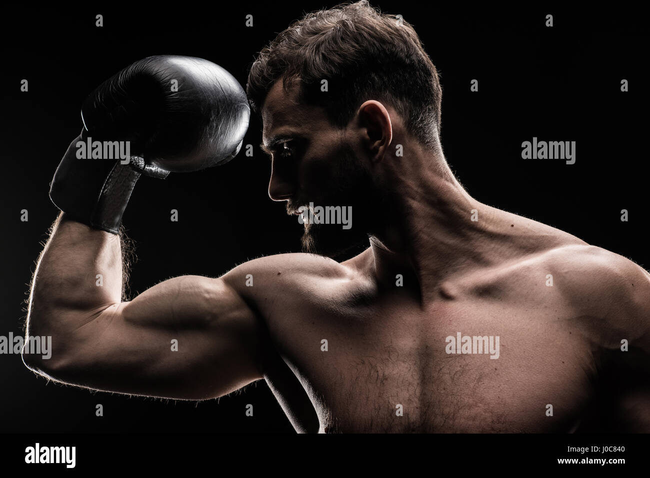 Young muscular sportsman in boxing glove showing biceps on black Stock ...