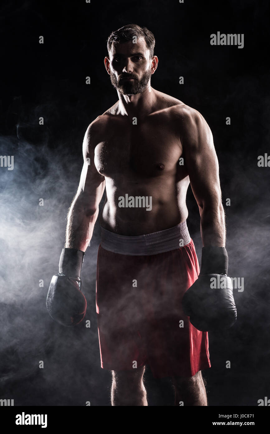 Young professional boxer in gloves looking at camera on black Stock ...
