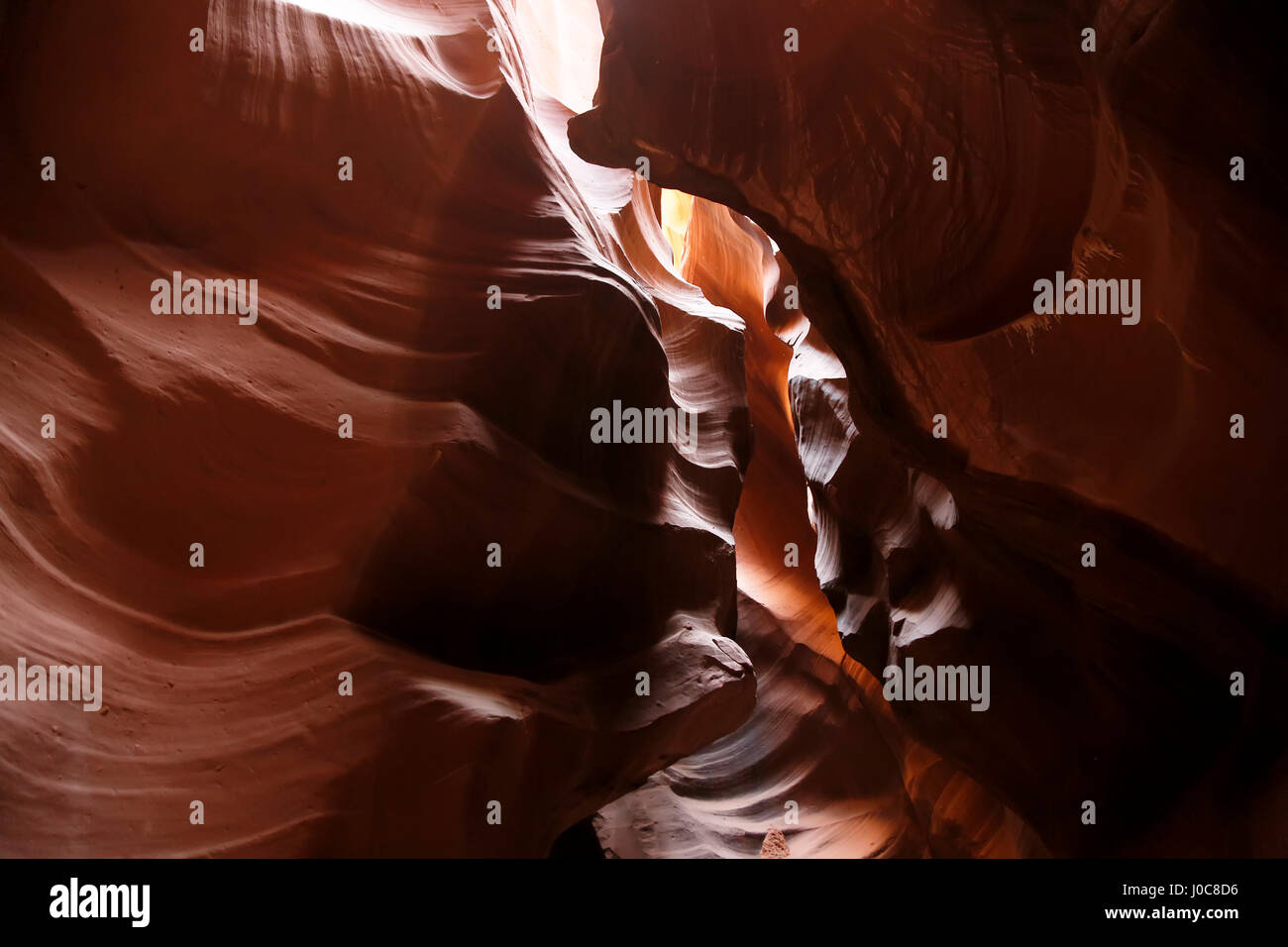 Antelope Feet High Resolution Stock Photography and Images - Alamy