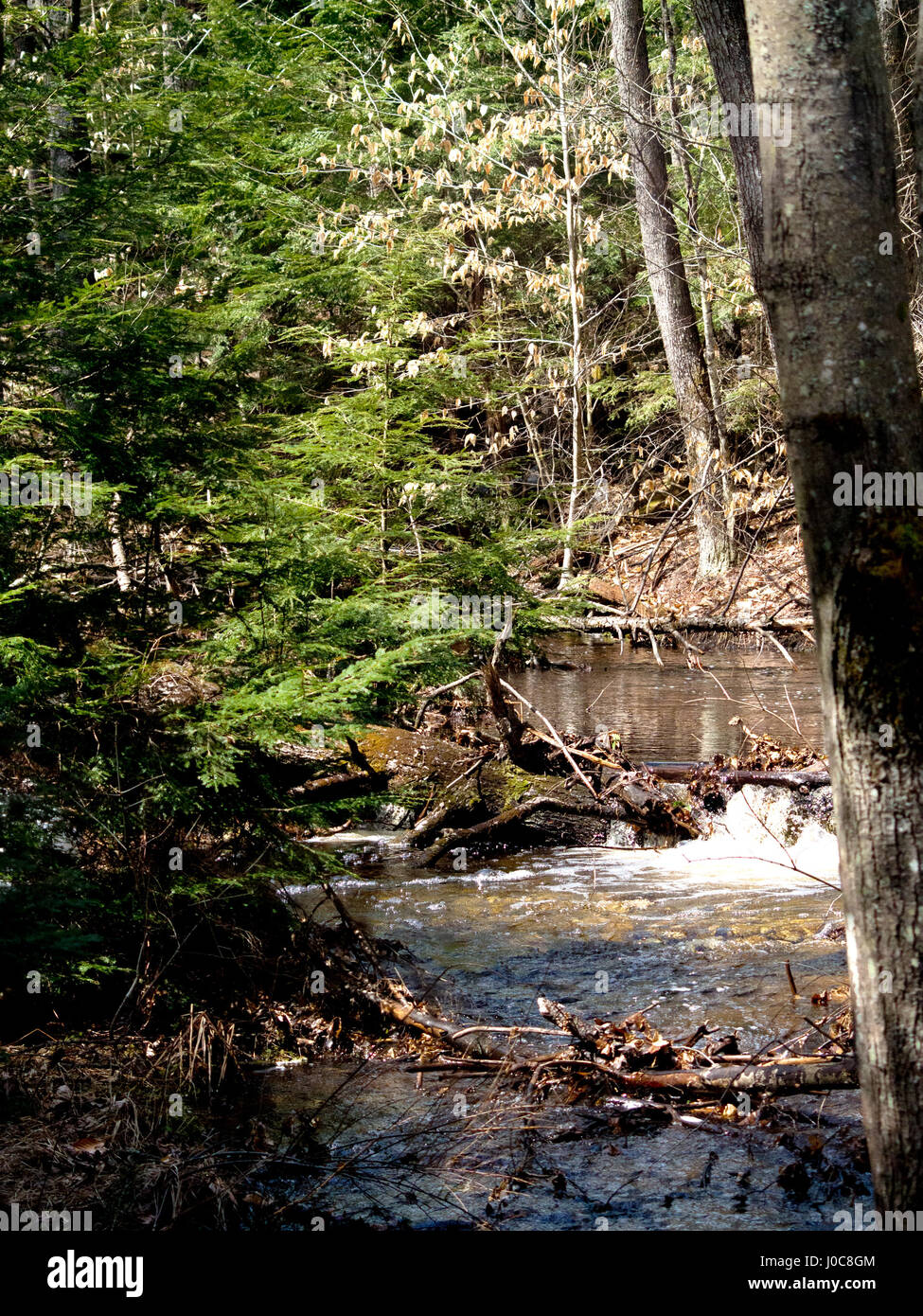 A river running through Bear Brook State Park near Allenstown, New ...