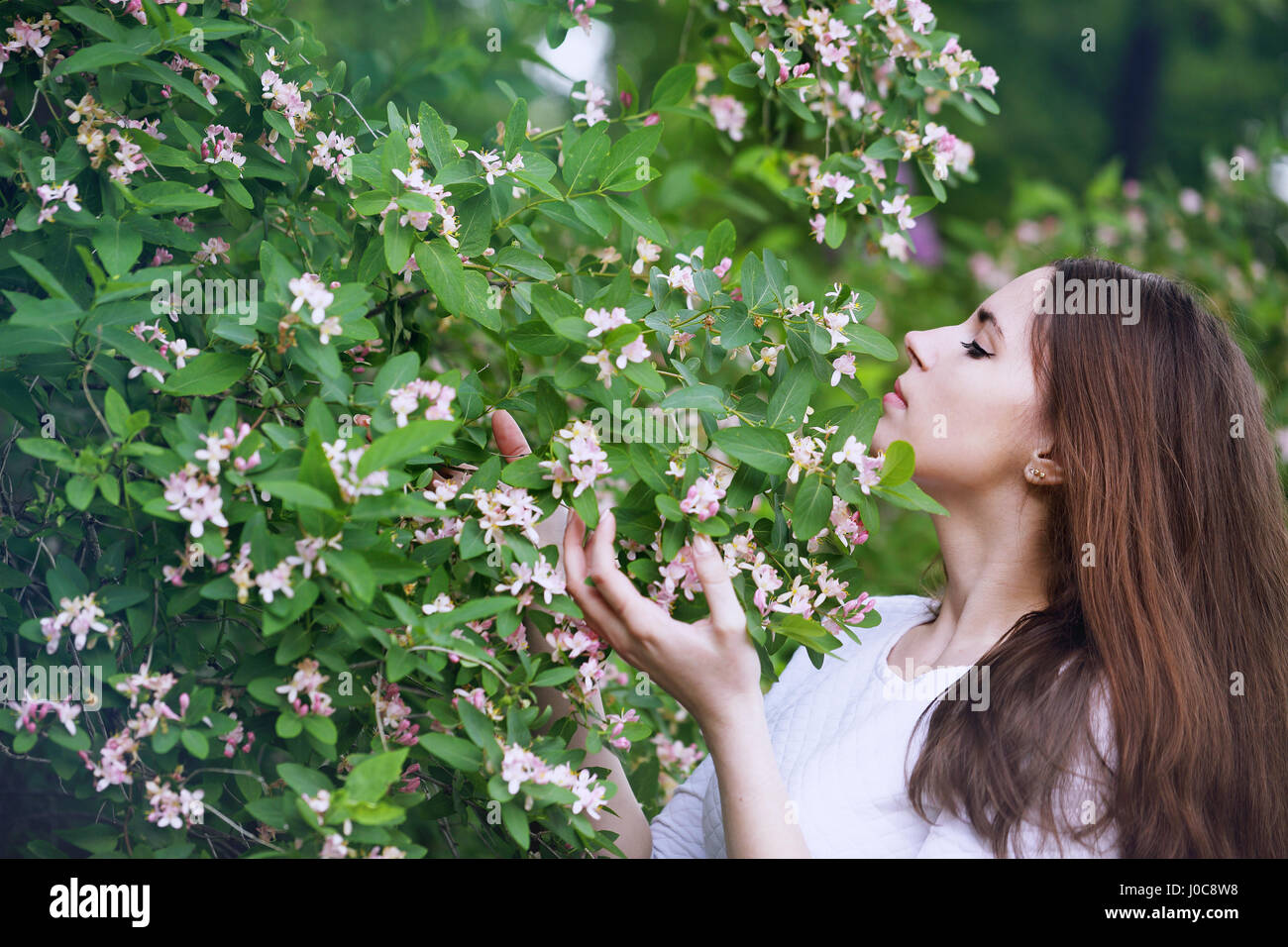 Woman smelling a flower honeysuckle Stock Photo - Alamy