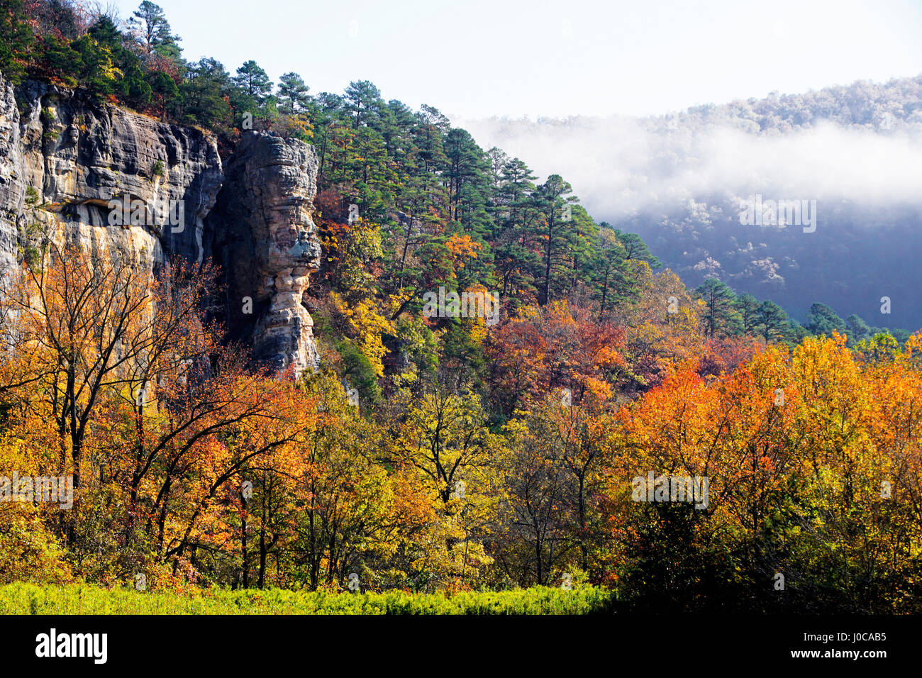 Roark hi-res stock photography and images - Alamy