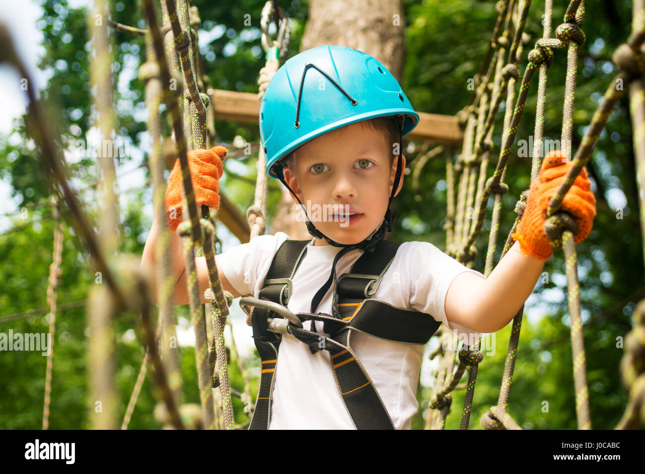 Five year boy on rope-way in forest Stock Photo - Alamy