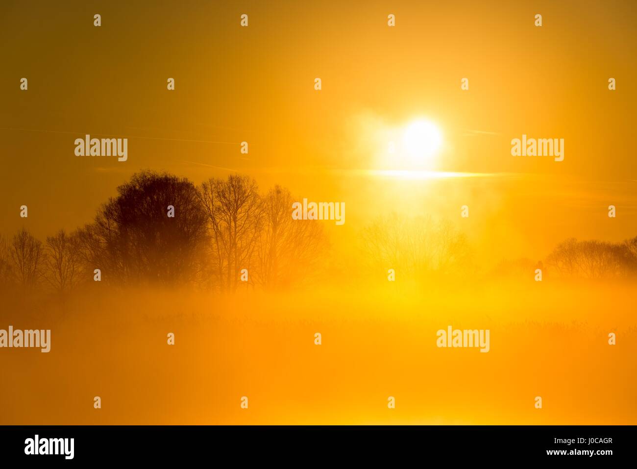 Horizontal photo with landscape with several trees and bush captured in ...