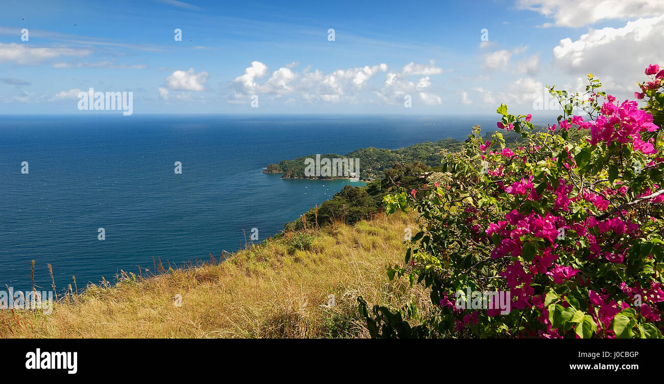 Republic of Trinidad and Tobago - Tobago island - Castara bay and ...