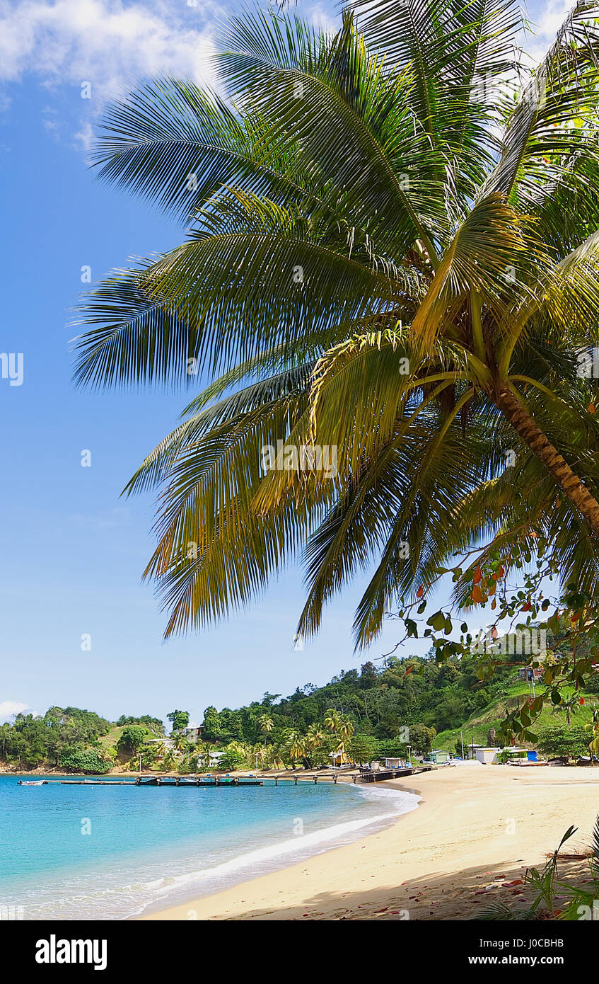 Island of trinidad hi-res stock photography and images - Alamy