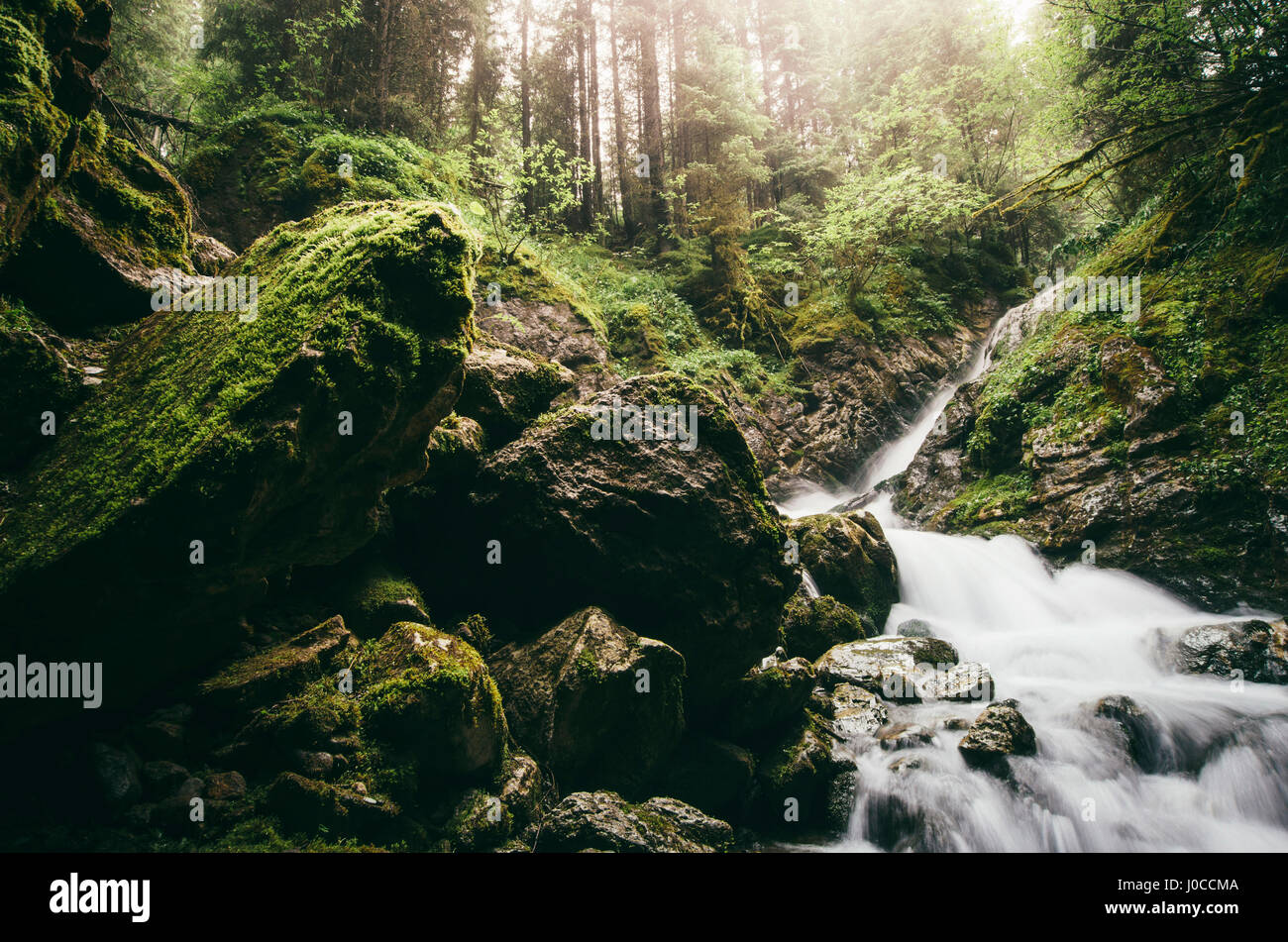 forest river natural scenery with green plants Stock Photo - Alamy