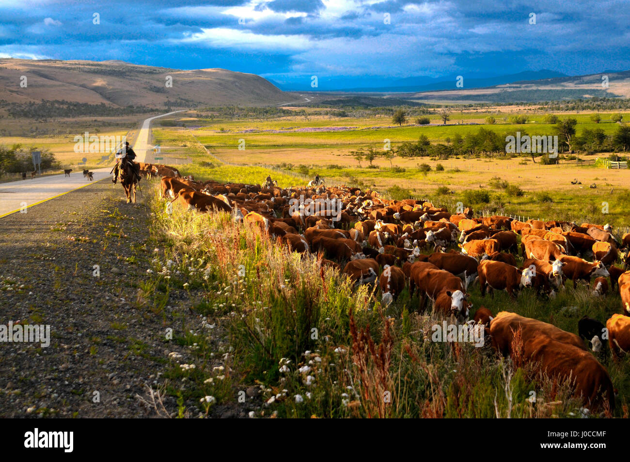 Gauchos chile hi-res stock photography and images - Alamy