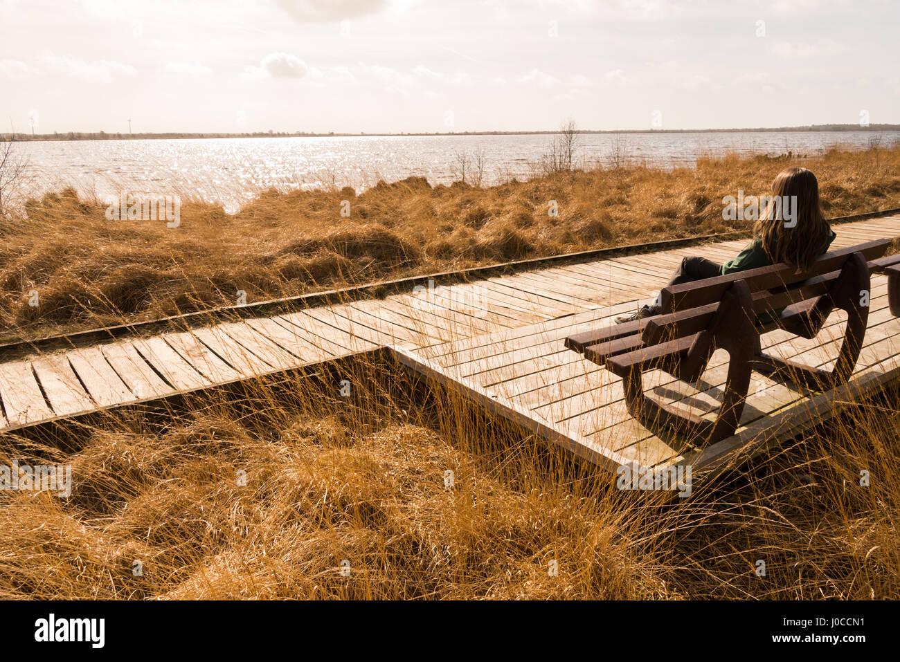 Wooden walkway through moor nature reserve in east friesland Stock ...