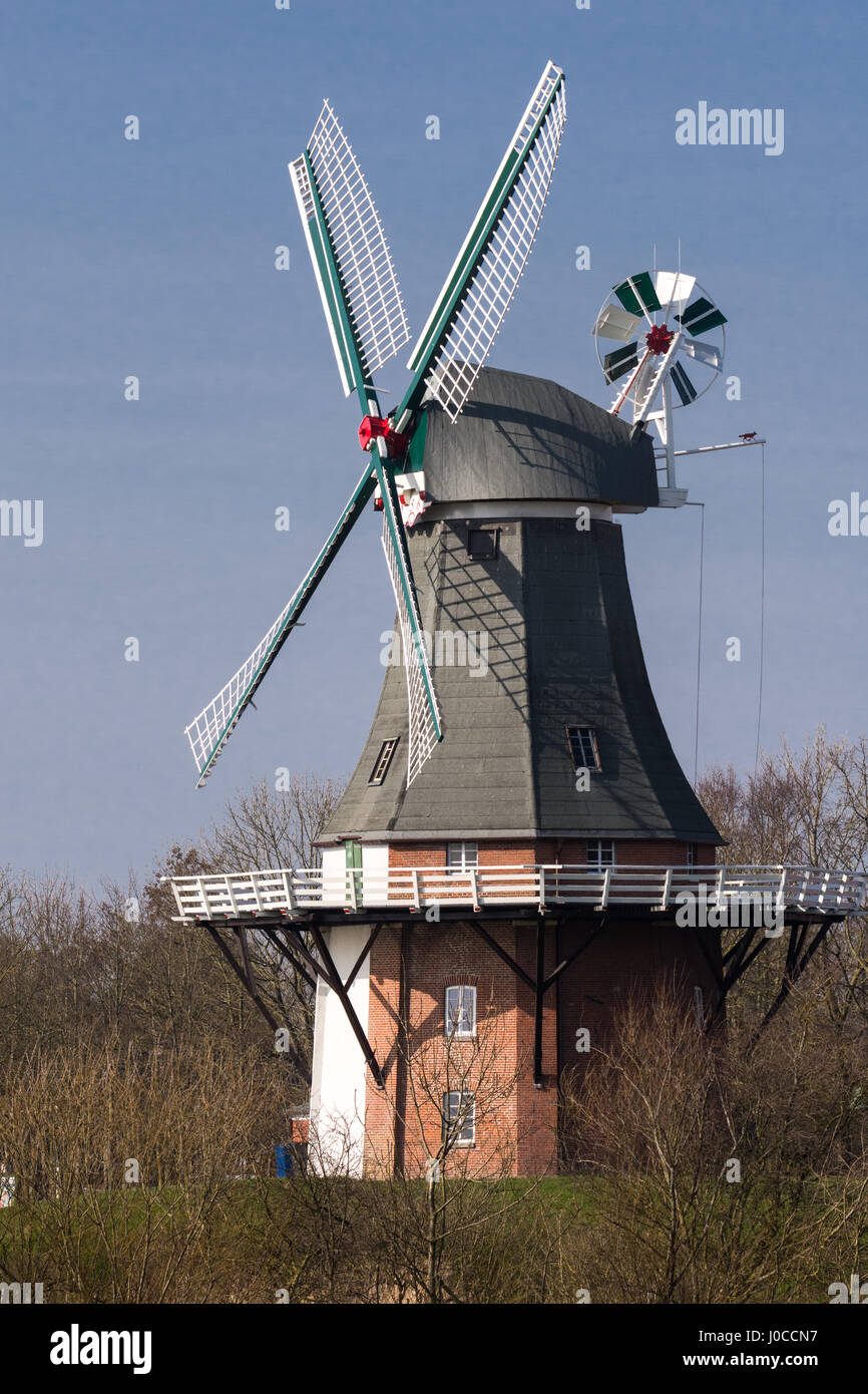 Traditional Dutch windmills working and still used to grind in ...