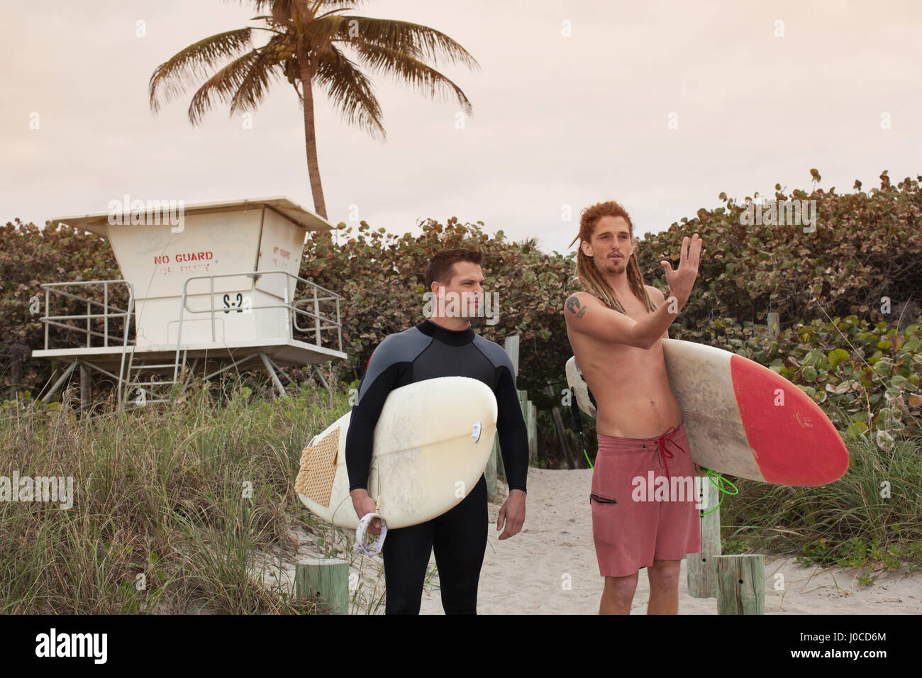 Male lifeguard having discussion with surfer on beach Stock Photo - Alamy