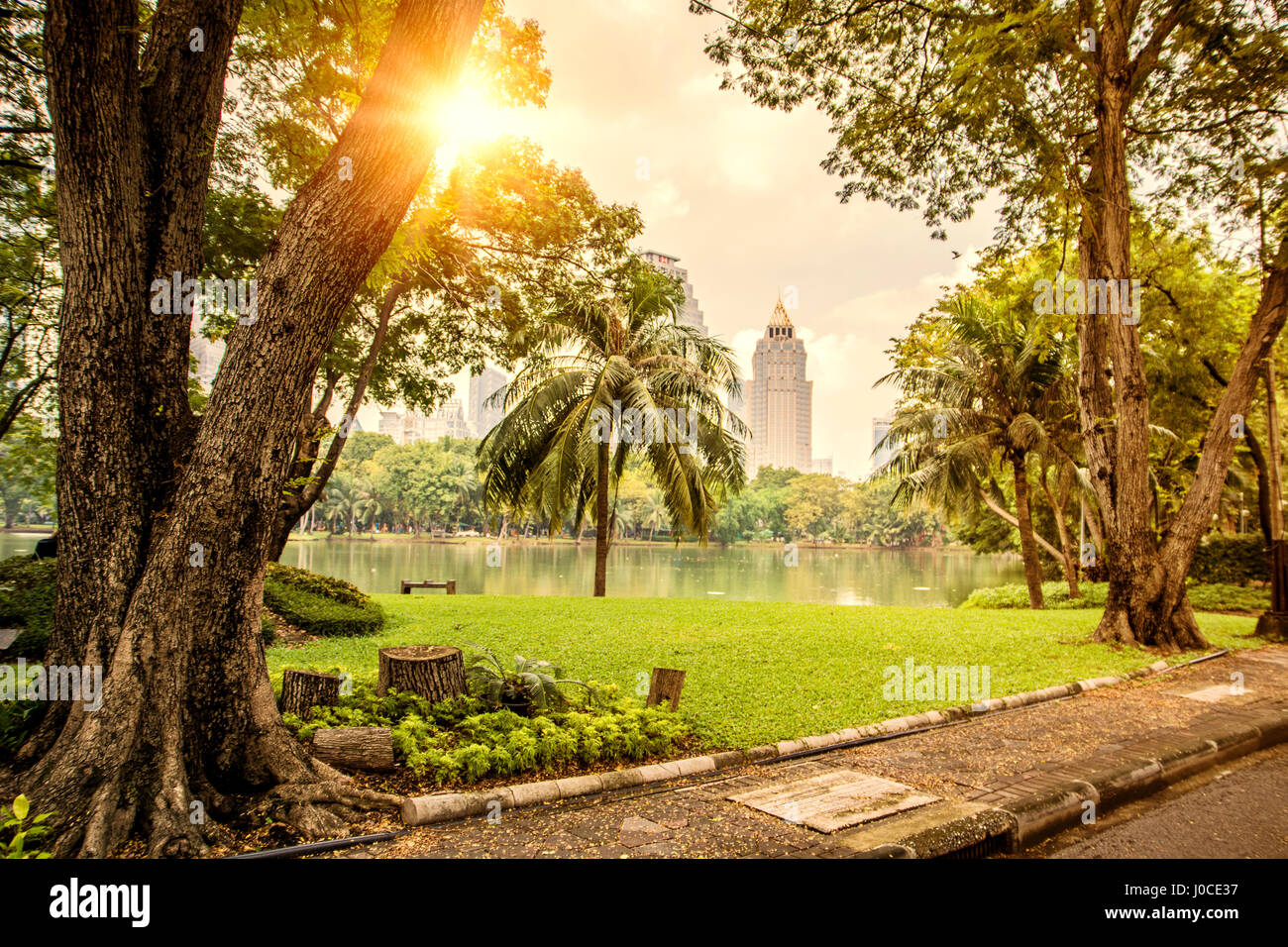 Amazing view of tropical park Stock Photo - Alamy