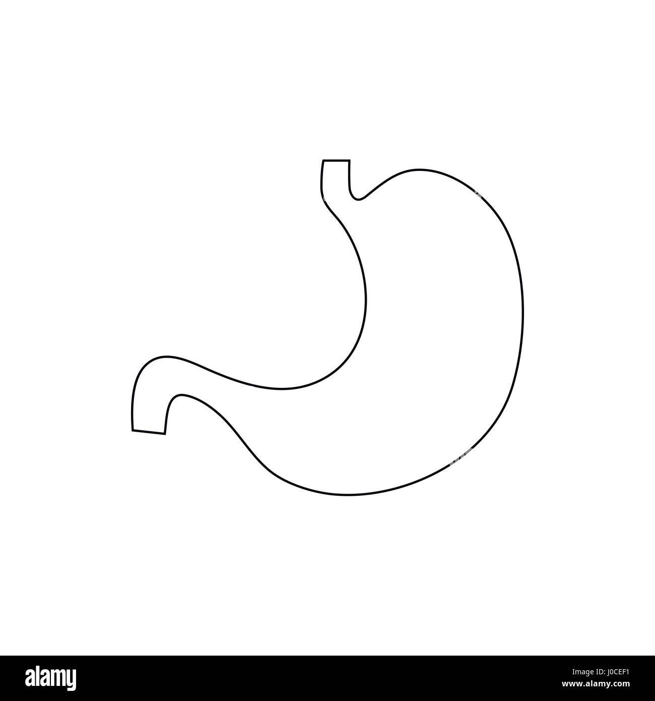 Human stomach icon, outline style Stock Vector Image & Art - Alamy
