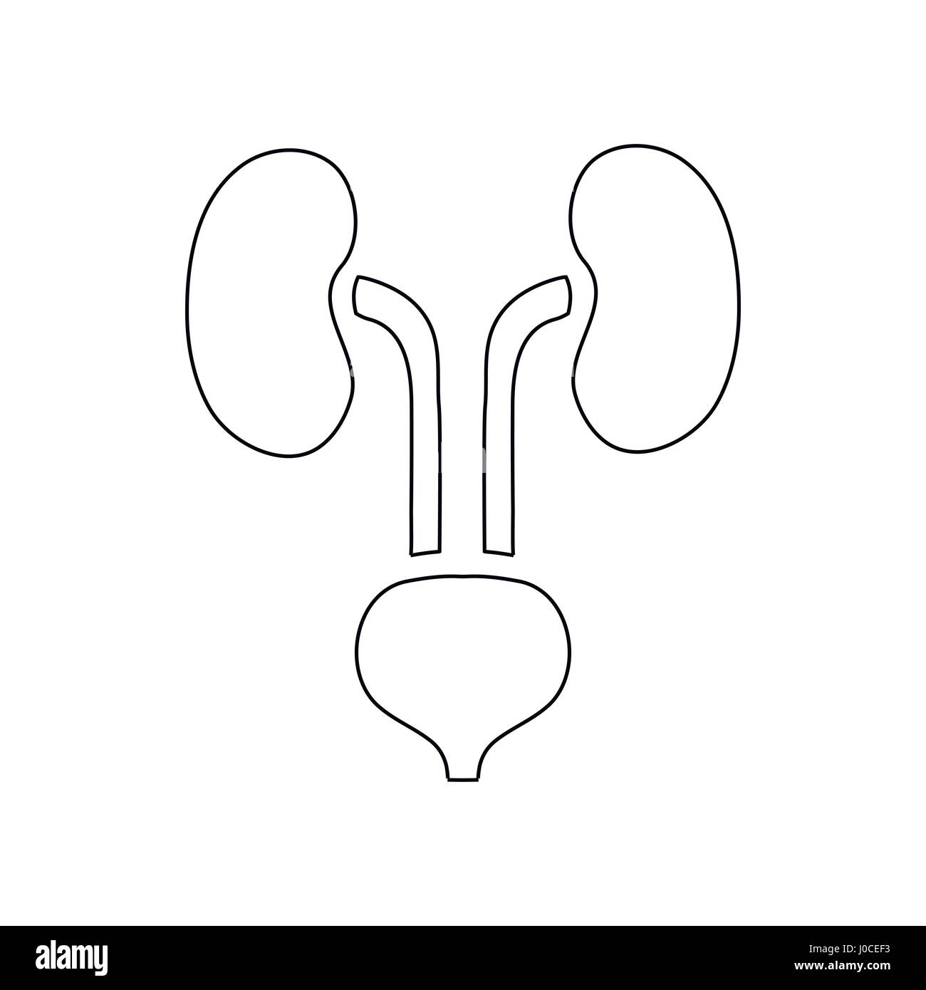Black And White Bladder