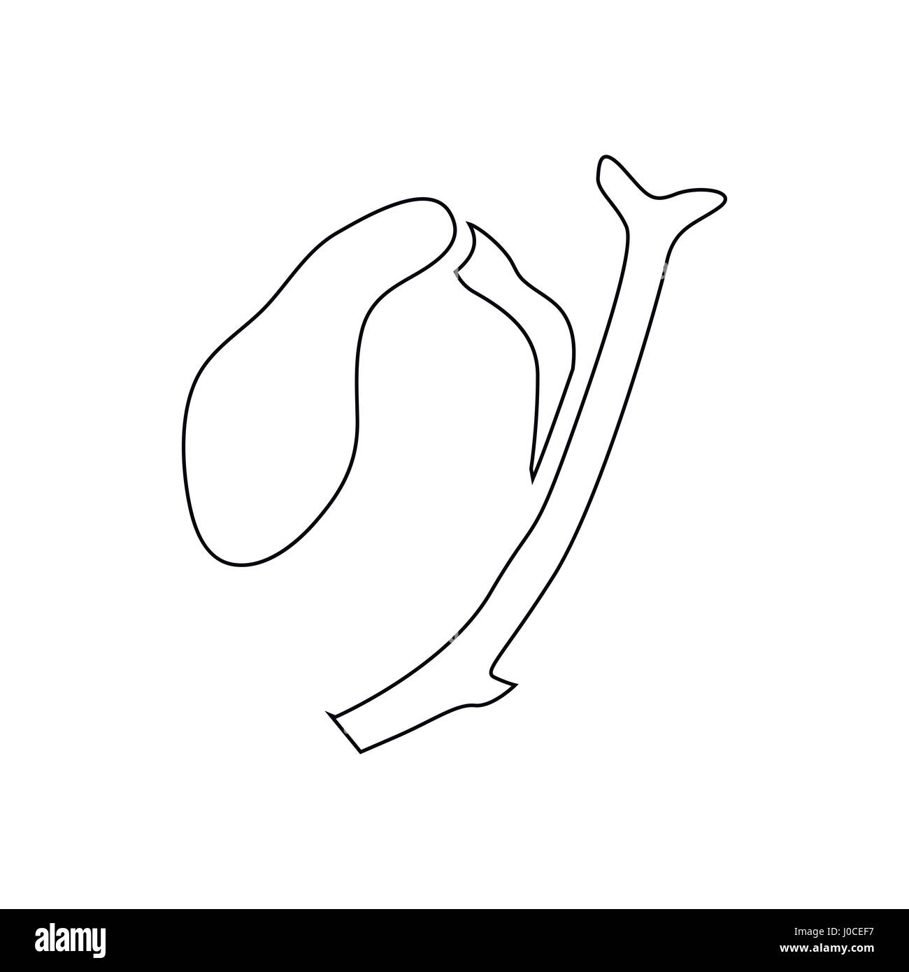 Gallbladder icon, outline style Stock Vector Image & Art - Alamy