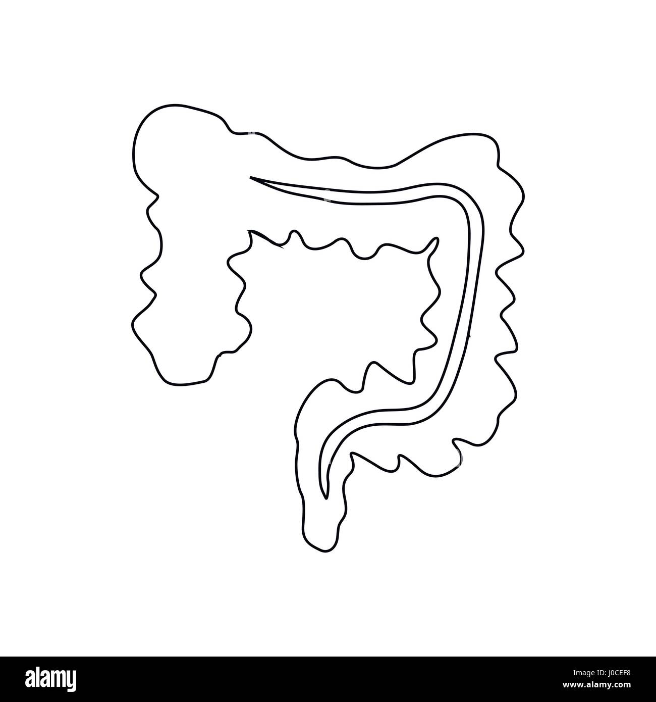 Intestines icon, outline style Stock Vector Image & Art - Alamy