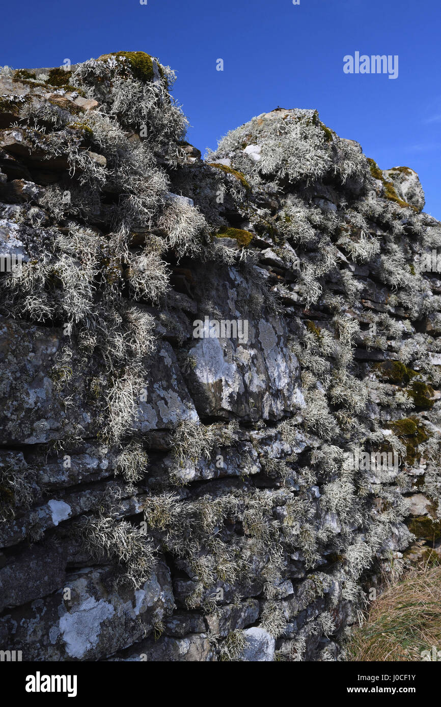 Latheronwheel hi-res stock photography and images - Alamy
