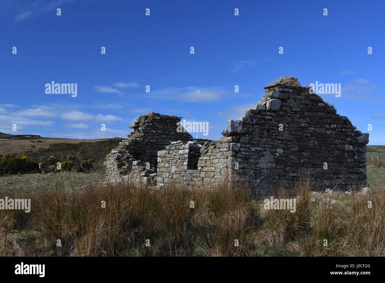Stone bothy hi-res stock photography and images - Alamy