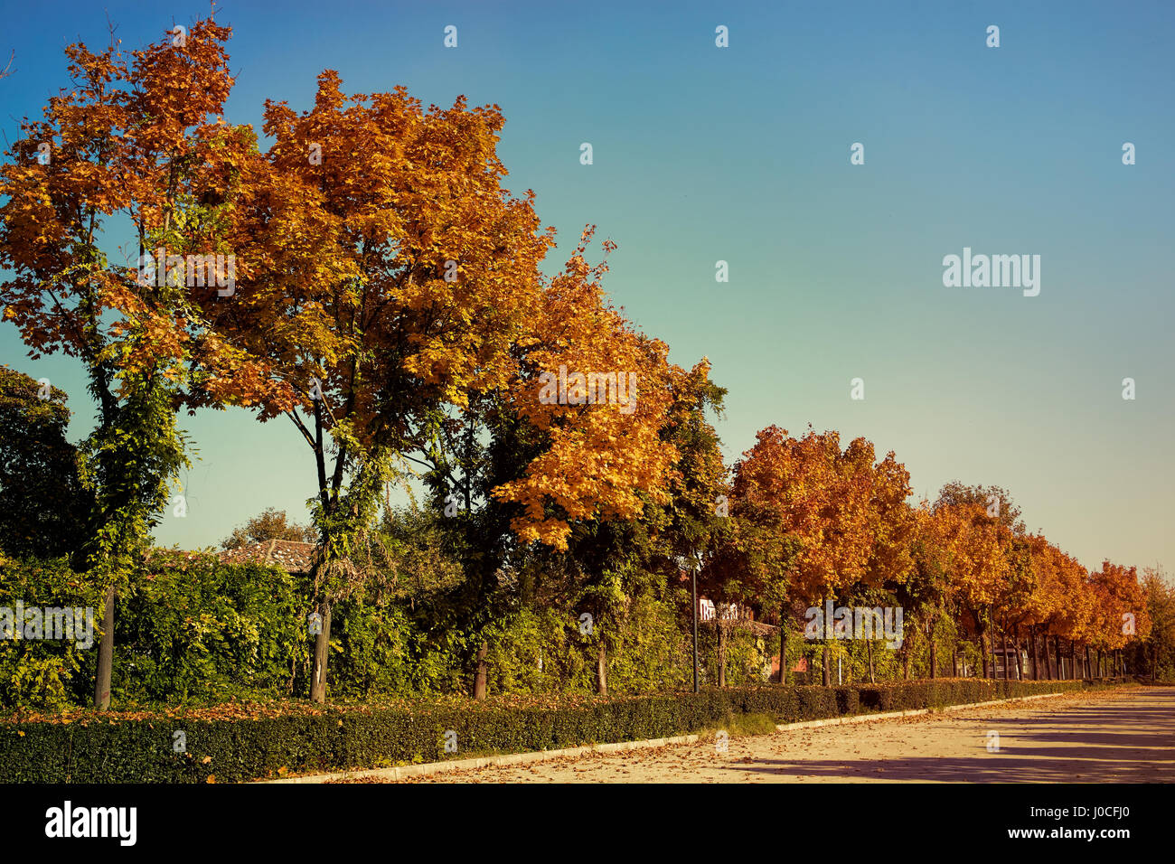 Perspective backgrounds hi-res stock photography and images - Alamy
