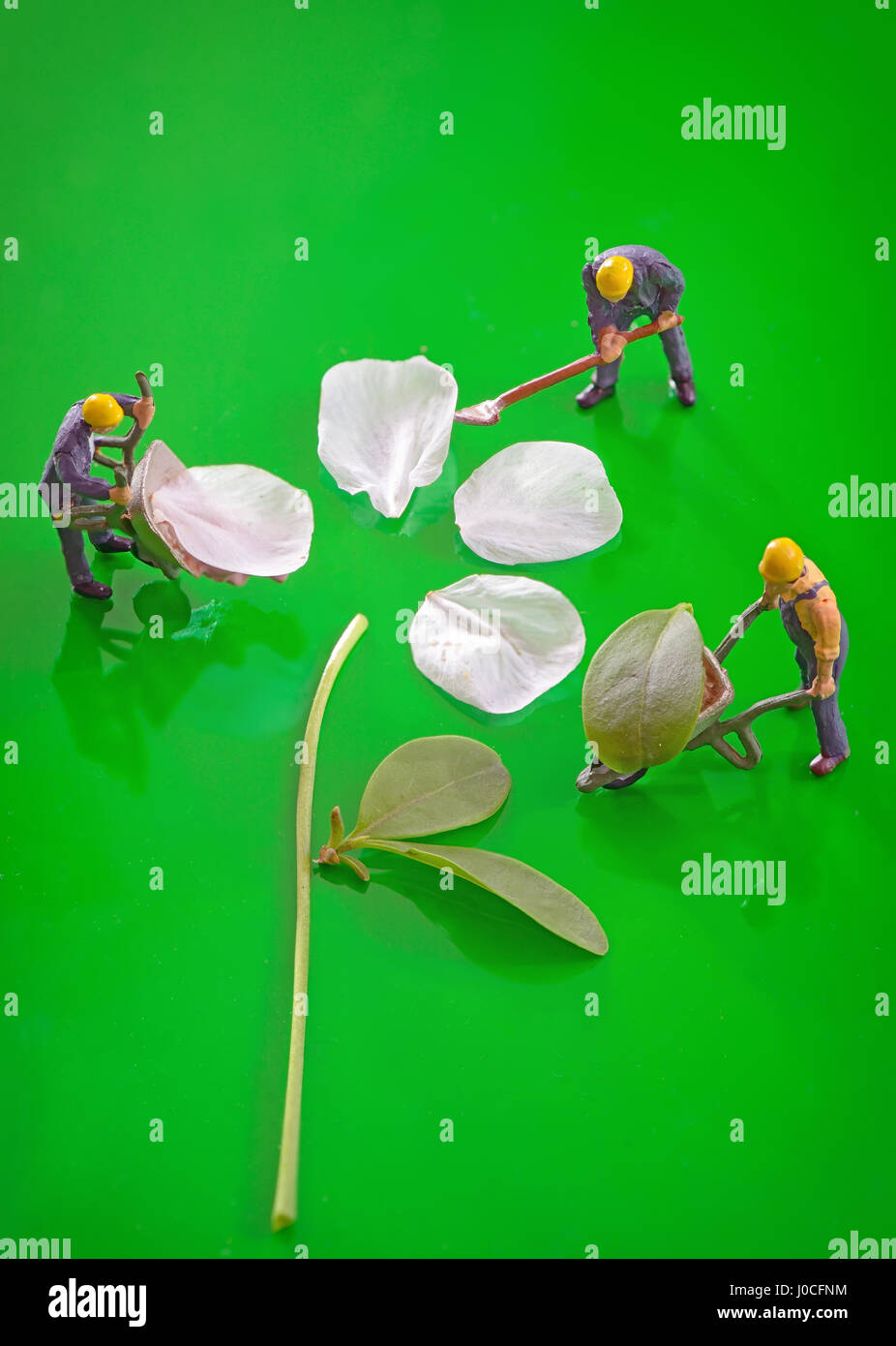 Earth cherry hi-res stock photography and images - Alamy