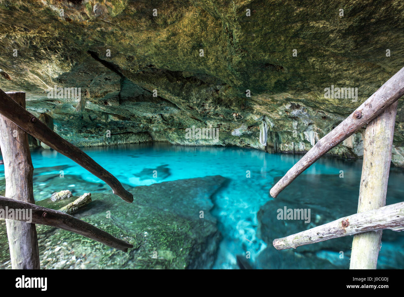 Cenote jungle riviera maya hi-res stock photography and images - Alamy