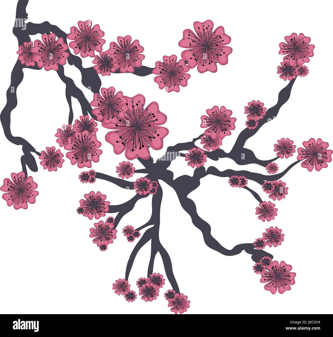 Branch of pink japanese cherry tree on white background Stock Vector ...