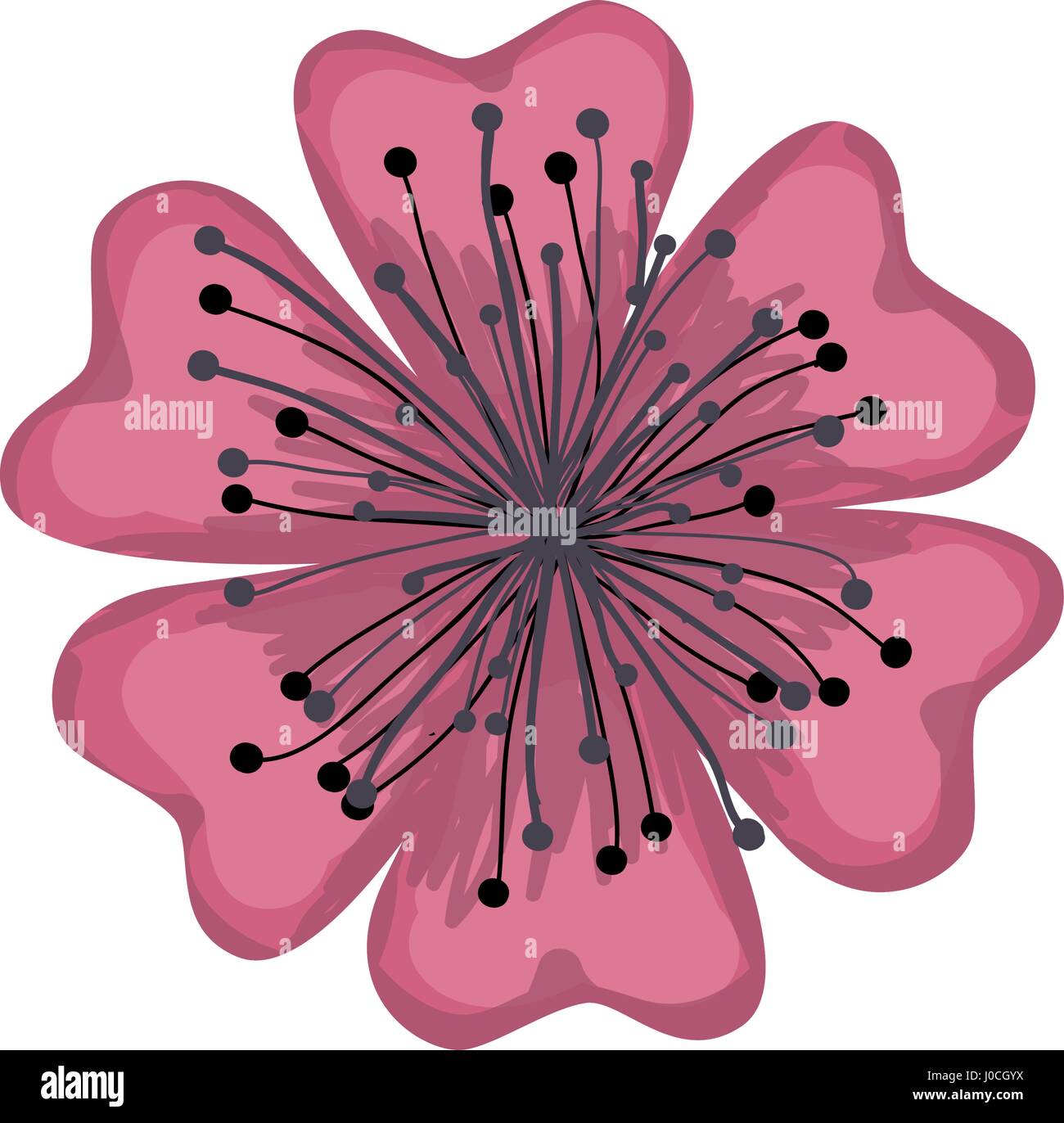 Blossom cherry tree in summer Stock Vector Images - Alamy