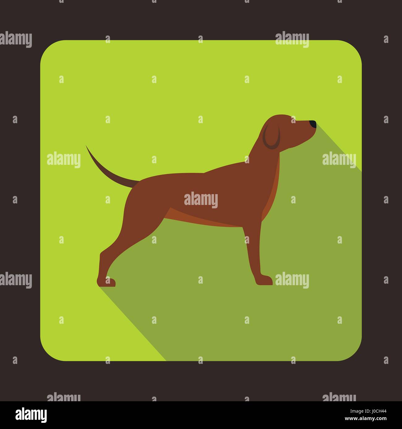 Black white pointer hunting Stock Vector Images - Alamy